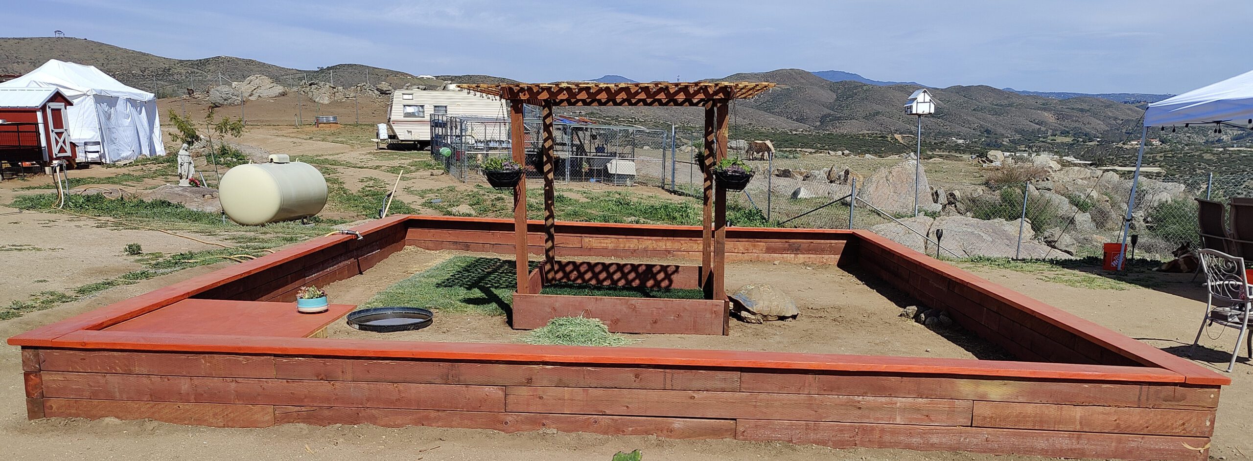 Tortoises - Boot Ranch Temecula