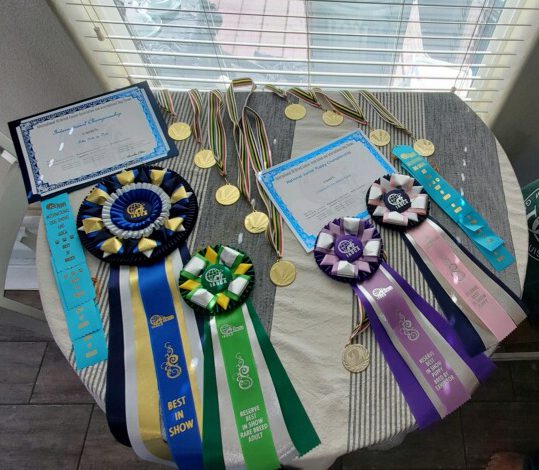 Filas - Boot Ranch Temecula