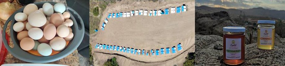 Boot Ranch Products - Boot Ranch Temecula