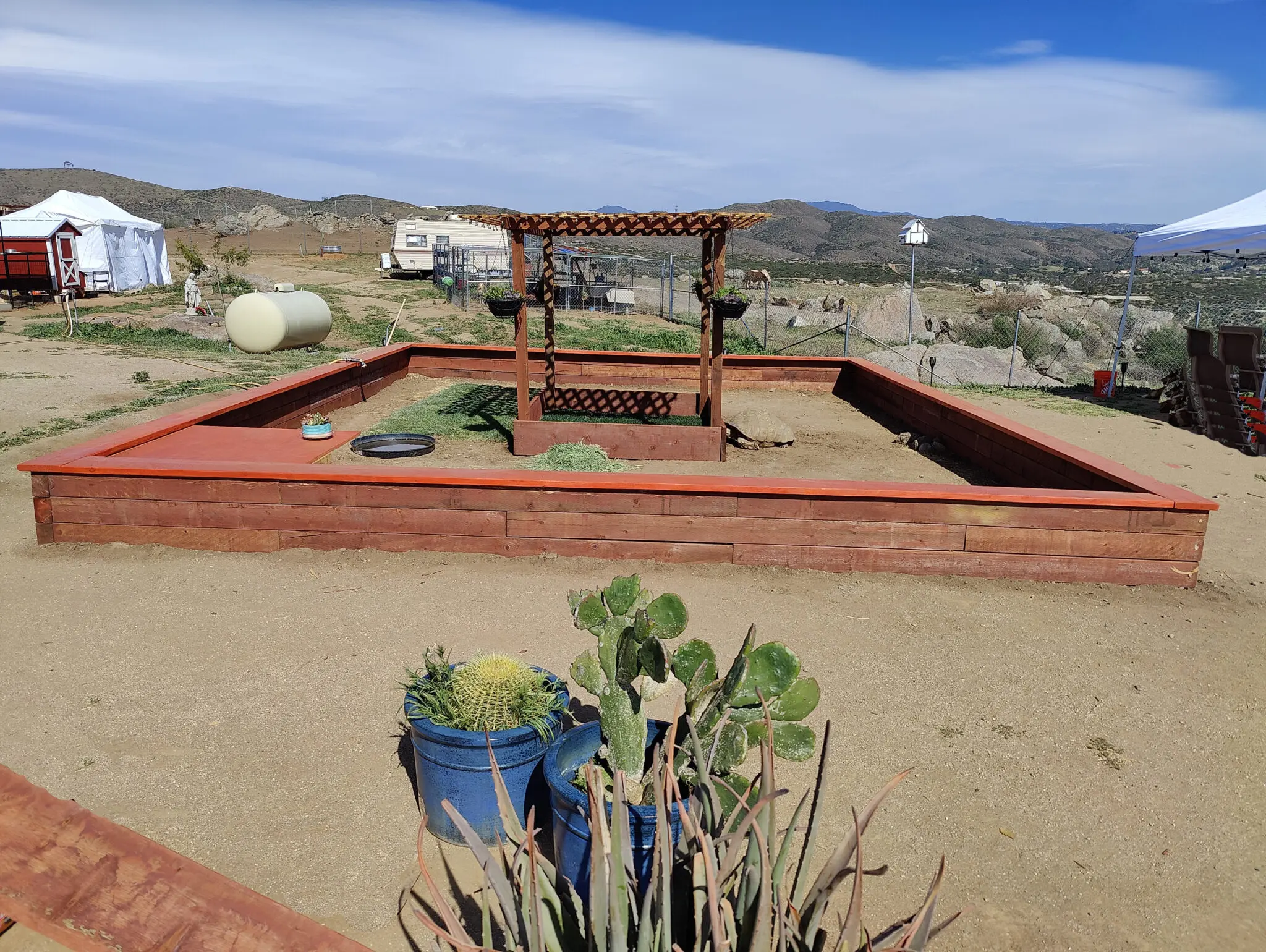 Tortoises - Boot Ranch Temecula